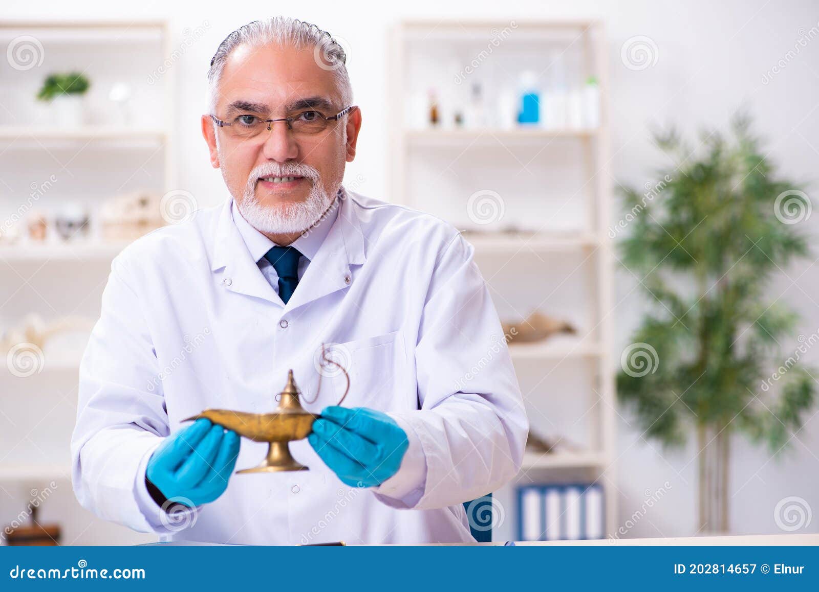 Old Senior Archaeologist Working in the Lab Stock Image - Image of ...