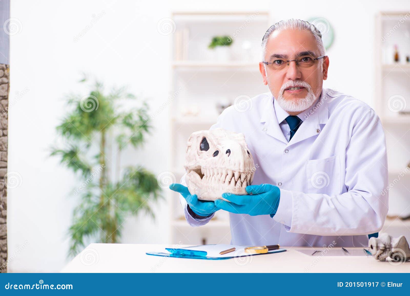 Old Senior Paleontologist Working in the Lab Stock Image - Image of ...