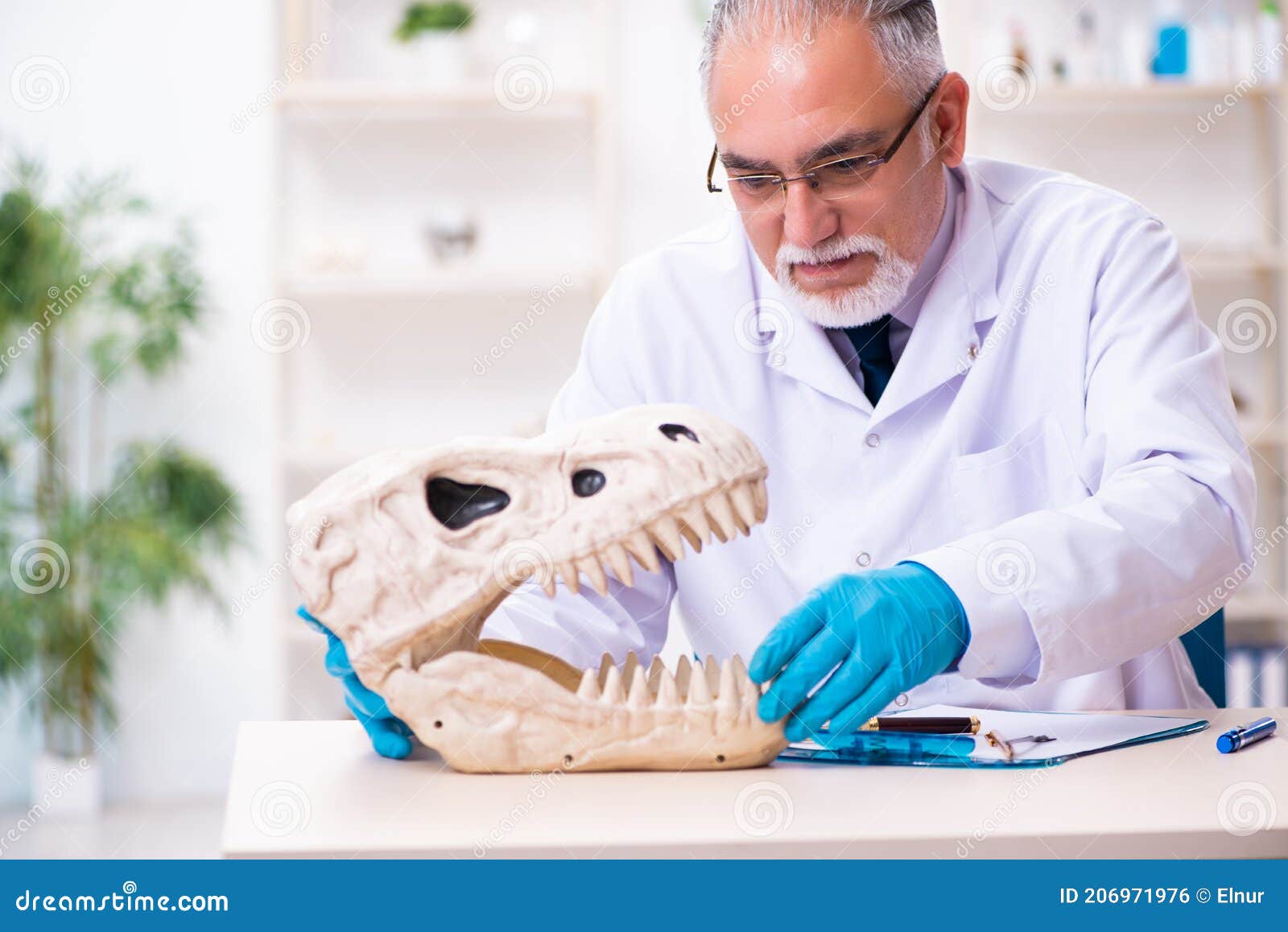 Old Senior Paleontologist Working in the Lab Stock Photo - Image of ...