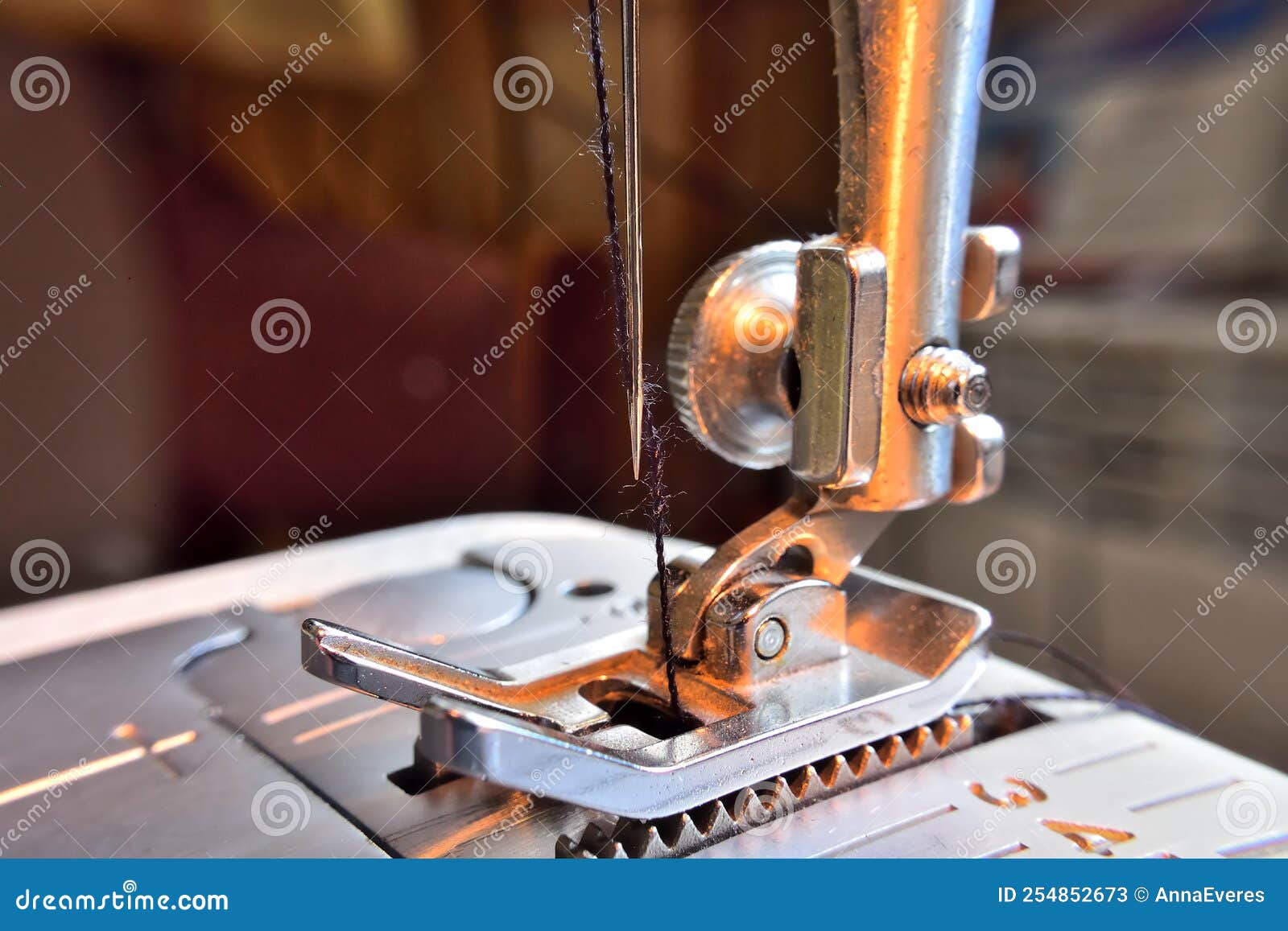 Sewing Machine - Close Up on Needle Stock Image - Image of material ...