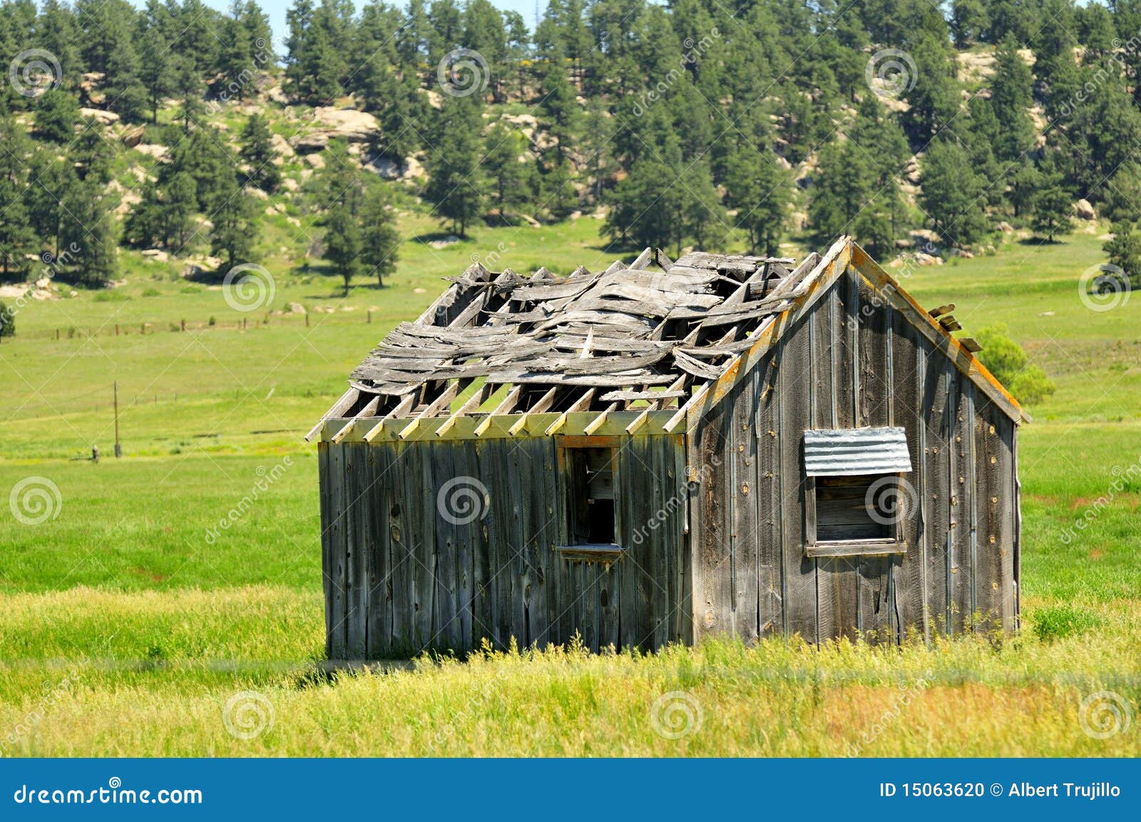 Old Shack stock photo. Image of wood, abandoned, spring - 15063620