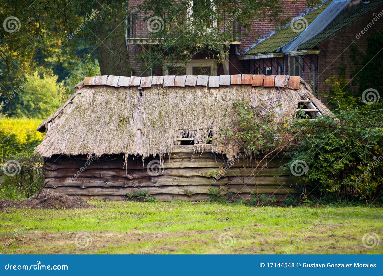 An old shack stock photo. Image of aged, grungy, house - 17144548