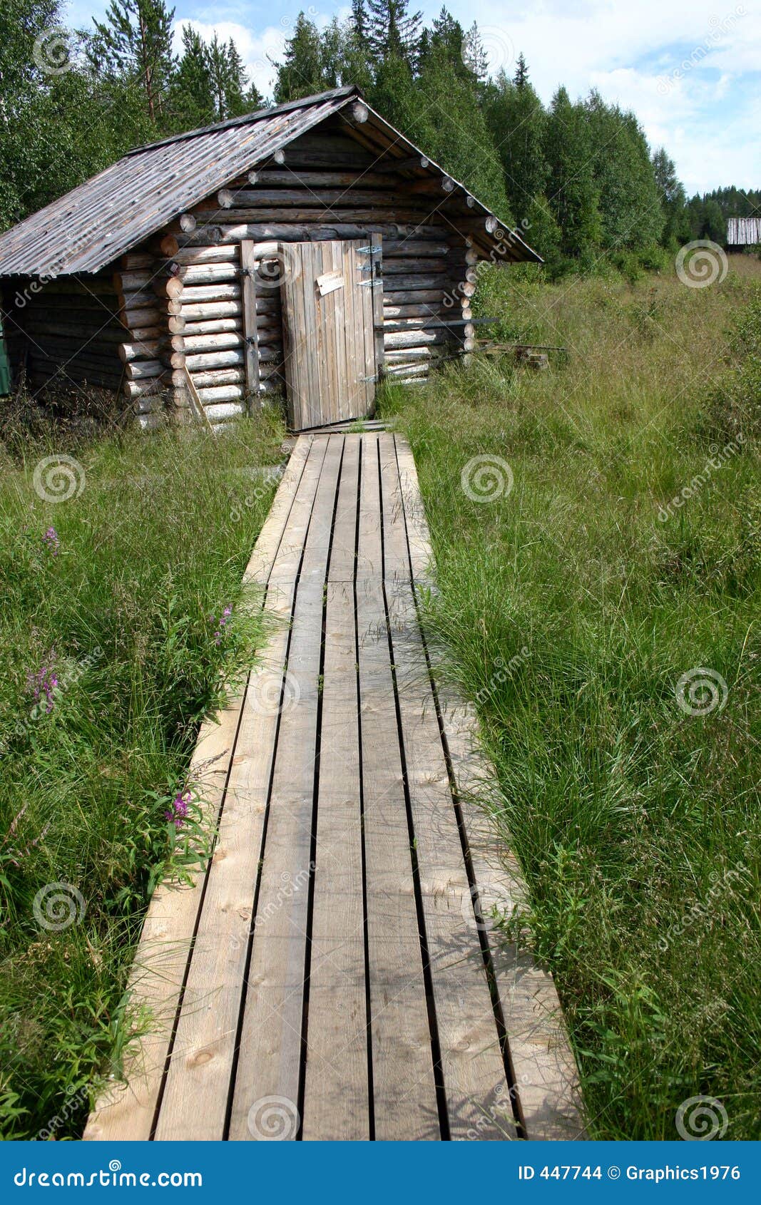 Old shack stock photo. Image of grass, shack, summer, green - 447744