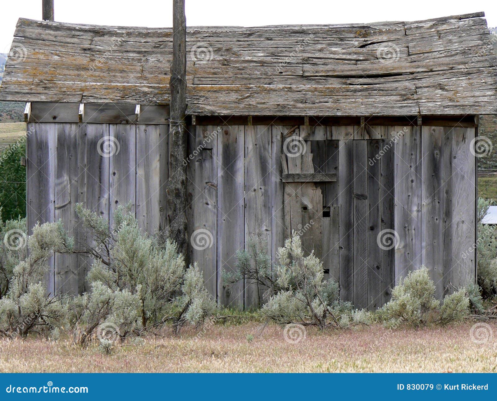 Old Shack stock image. Image of desert, sage, grass, weathered - 830079