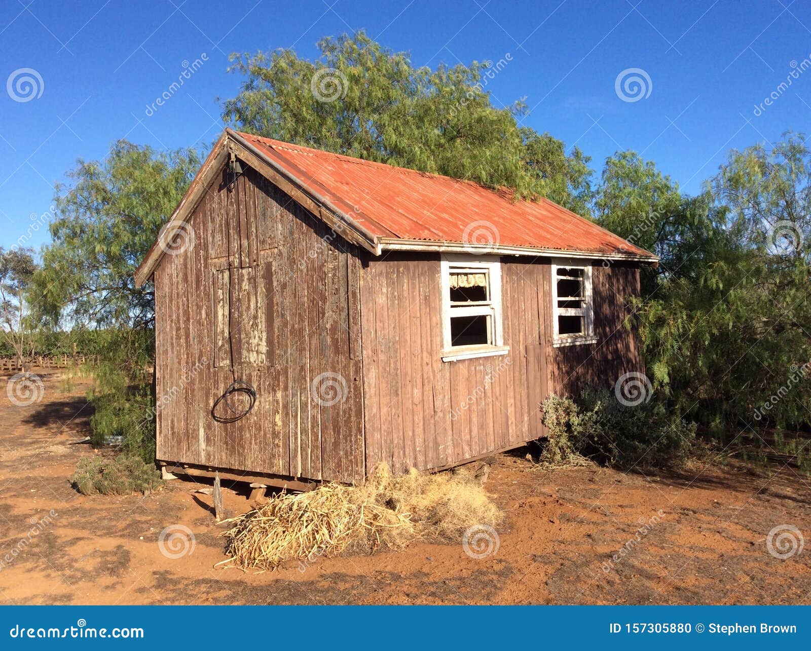 Old shack stock photo. Image of shack, tree, rustic - 157305880