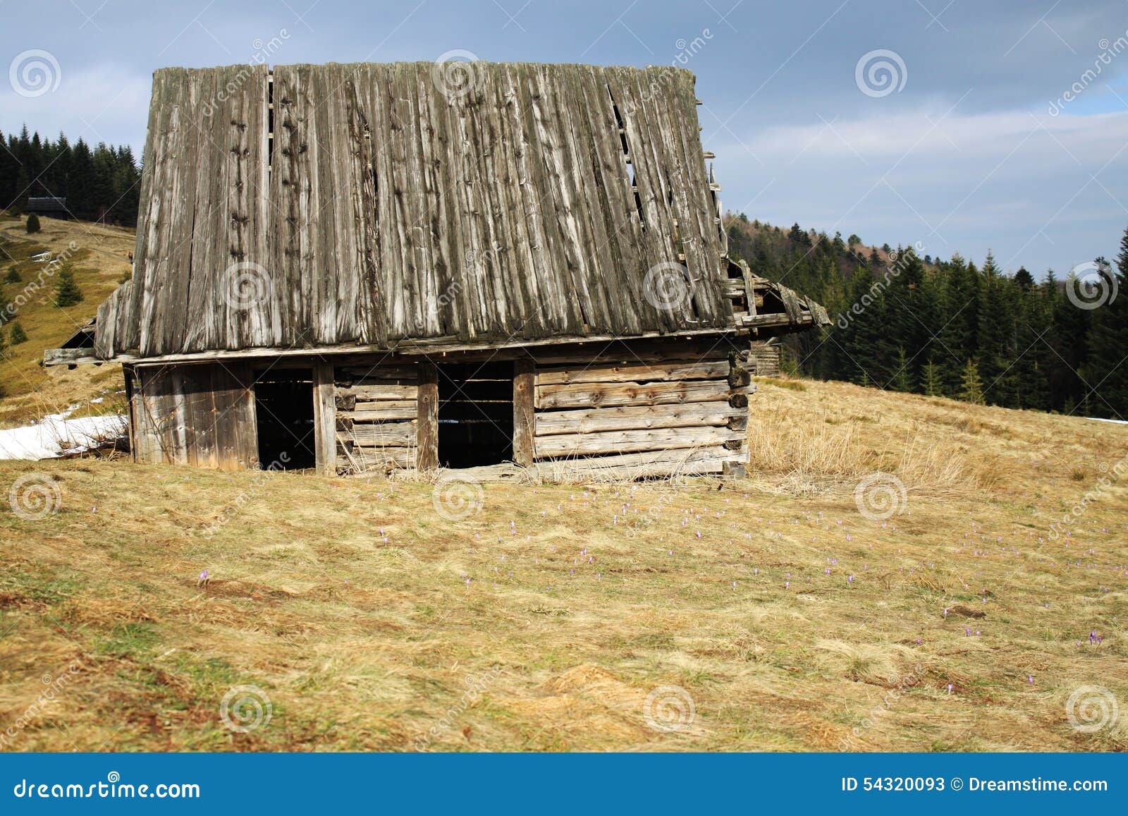 OLD SHACK MOUNTAIN LANDSCAPE Stock Image - Image of nature, trees: 54320093
