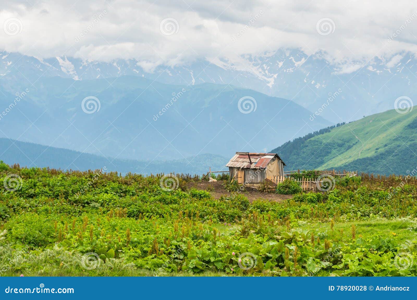 Old Shack and Mountains in Georgia Stock Photo - Image of shack ...