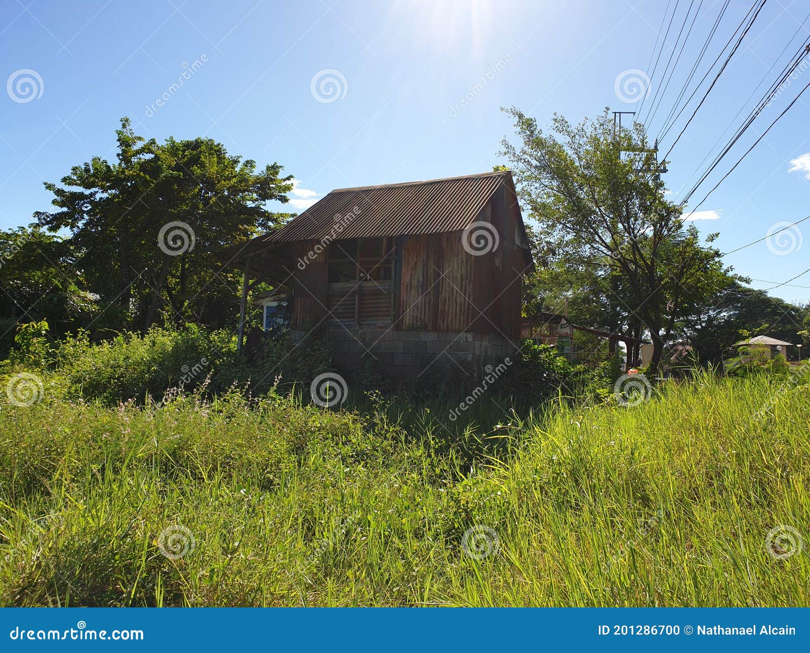 The old shack stock photo. Image of green, shack, meadow - 201286700