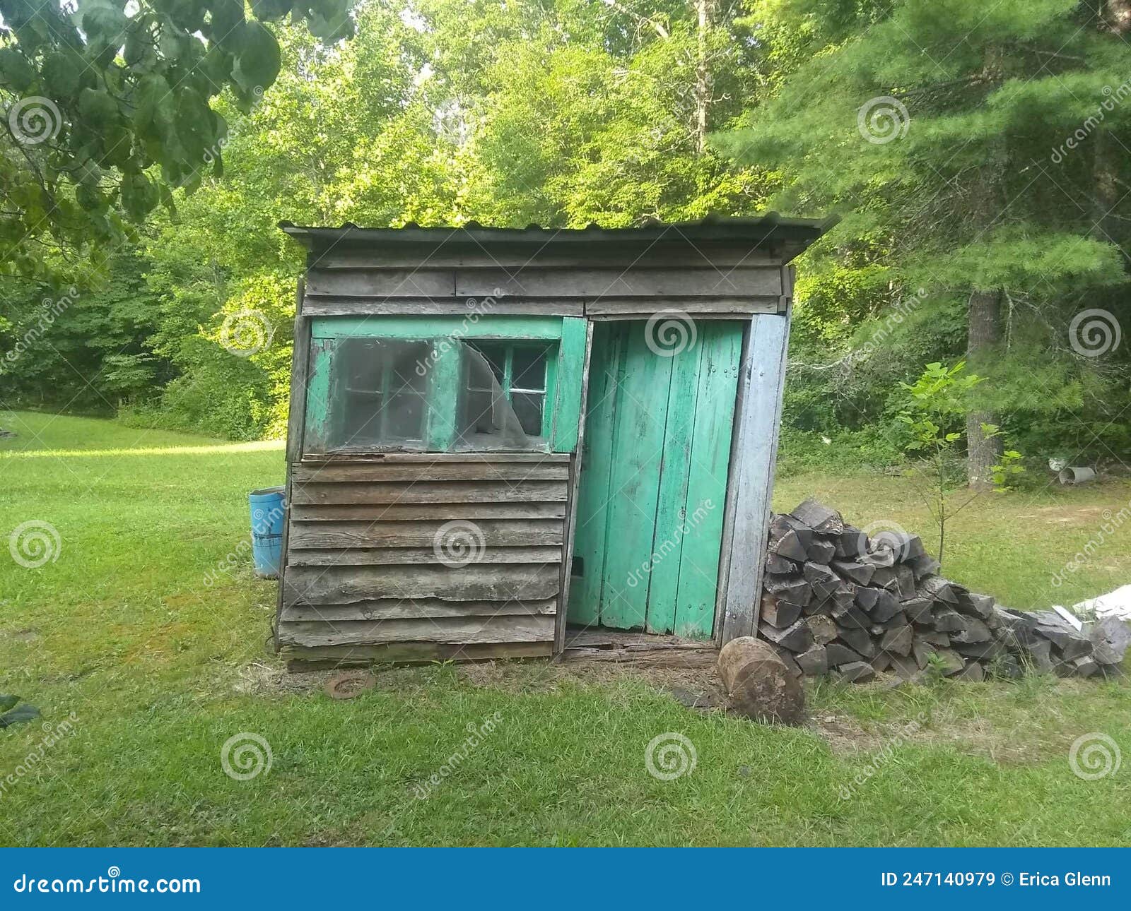 Old shack stock image. Image of house, plant, shack - 247140979
