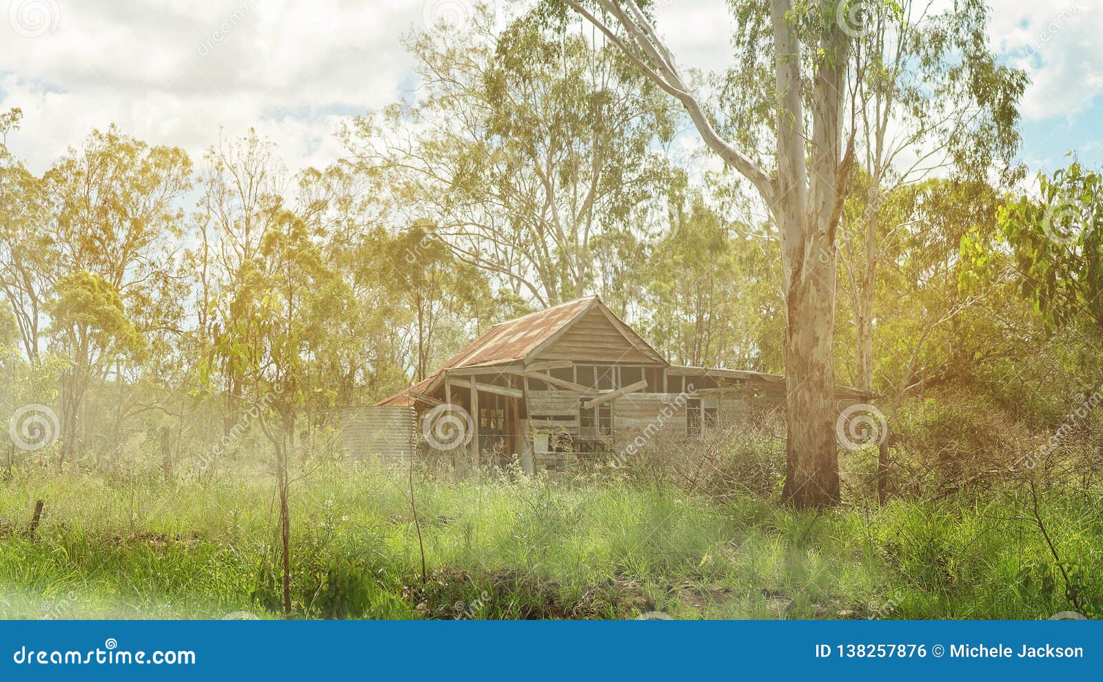 Old Shack Pictured through Trees Stock Photo - Image of construction ...