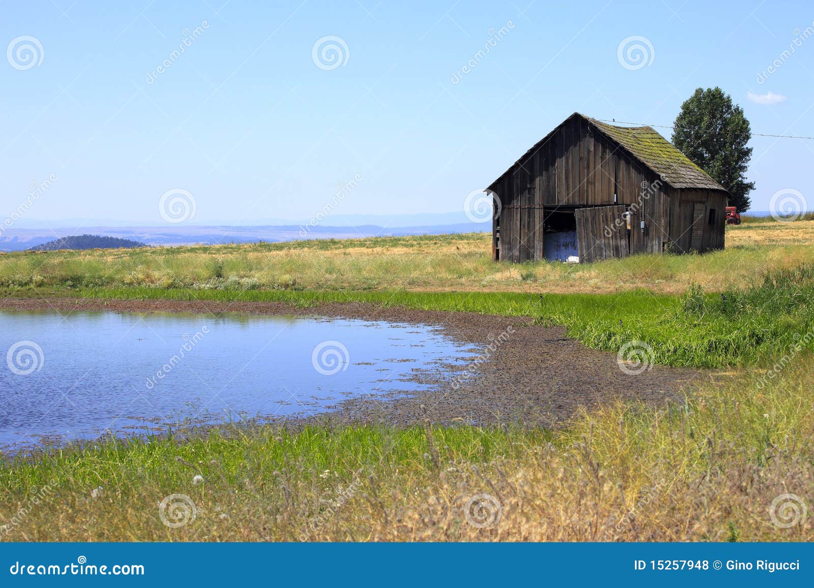 Old shack & a pond. stock photo. Image of summer, water - 15257948