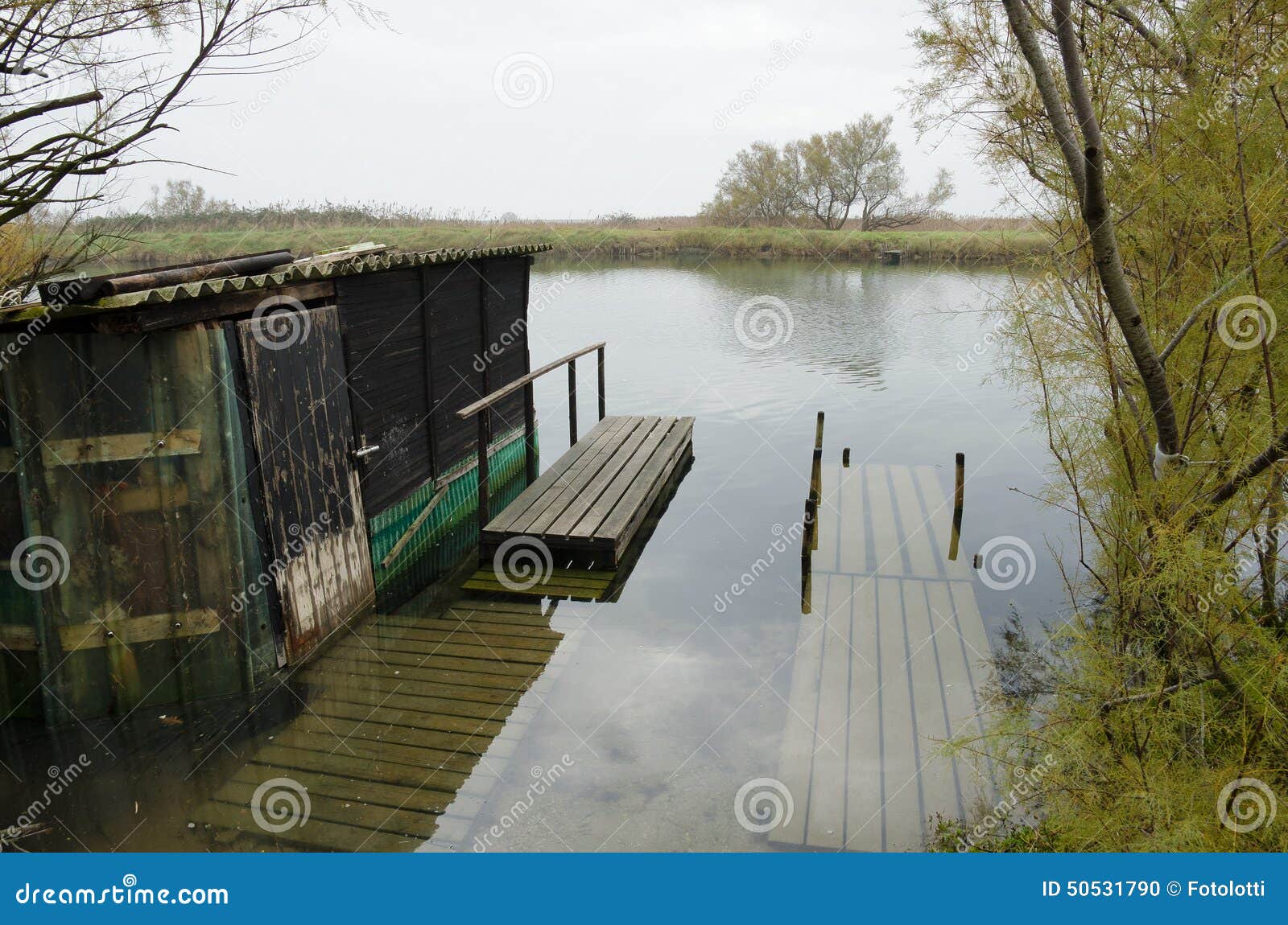 Old shack stock photo. Image of colorful, fields, shack - 50531790