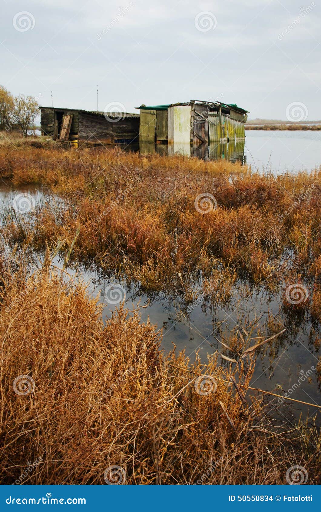 Old shack stock photo. Image of color, countryside, scenery - 50550834