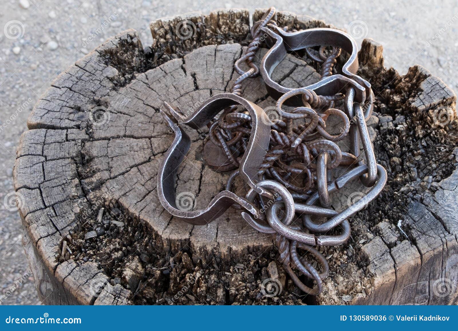 Old Shackles Attached To the Chain To the Log. Stock Photo - Image of ...