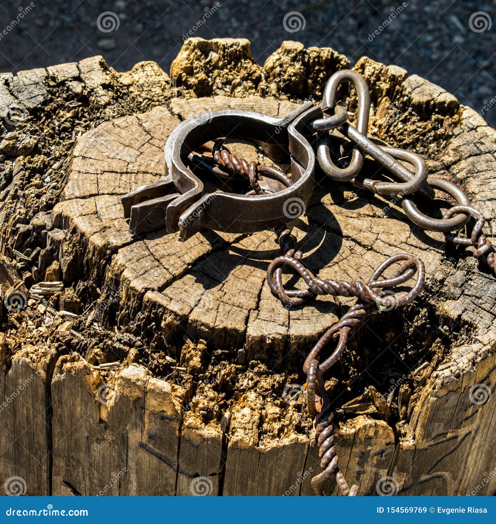 Old Shackles On A Stump. Old Shackles Attached To The Chain To The Log ... Old Shackles On A Stump. Old Shackles Attached To The Chain To The Log ...