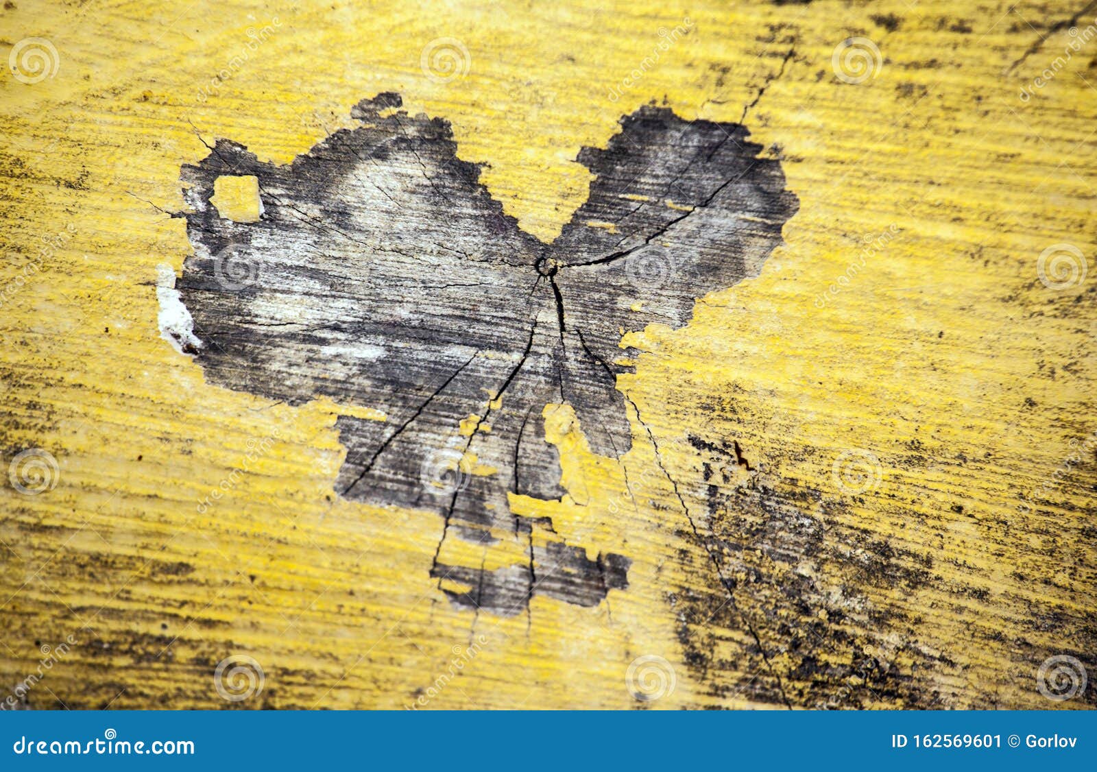 Sharp Tree Stump Stand And Background Of Birch Firewood Texture Royalty ...