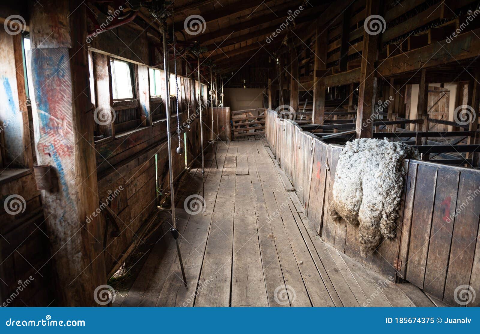 Old Shearing Machines for Sheep Stock Image - Image of rustic, sheep ...