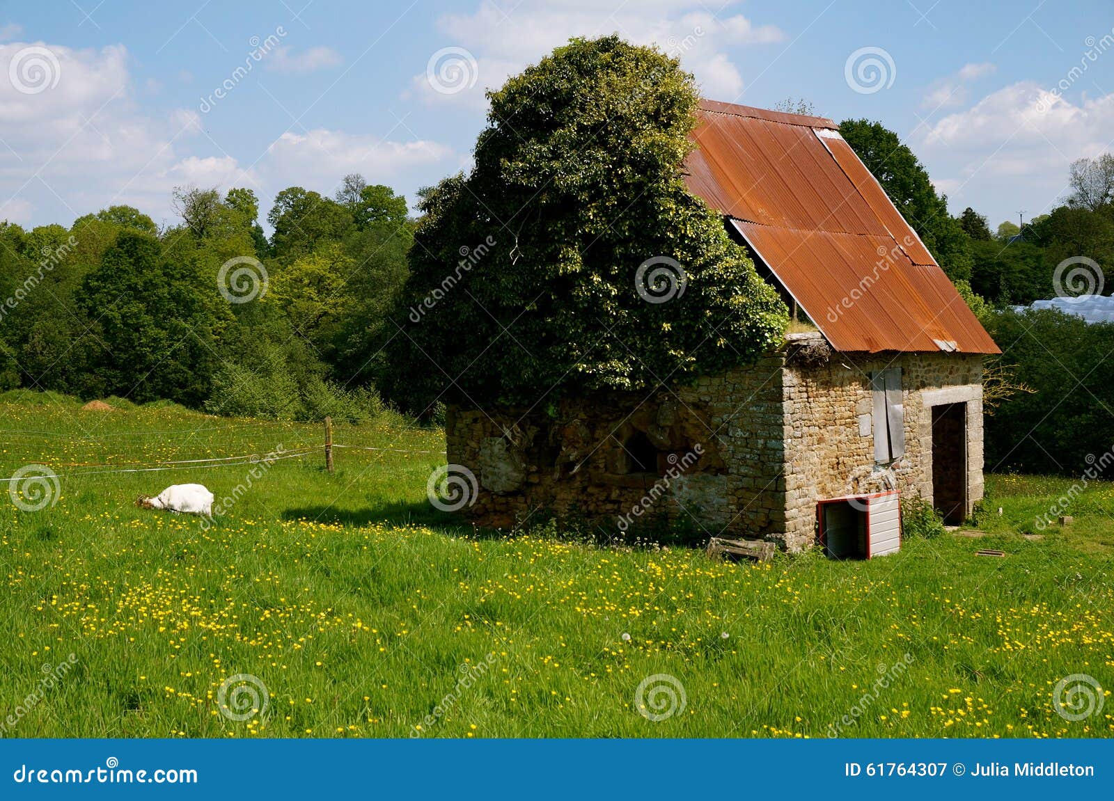 Old shed stock image. Image of abandoned, ruin, green - 61764307