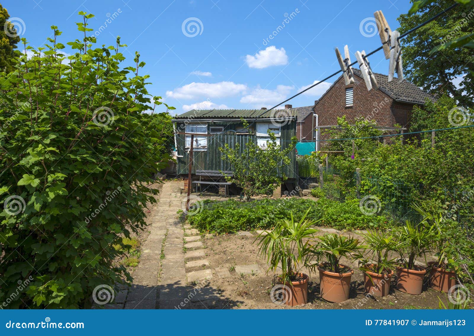 Old Shed in a Sunny Garden in Spring Stock Image - Image of beaten ...