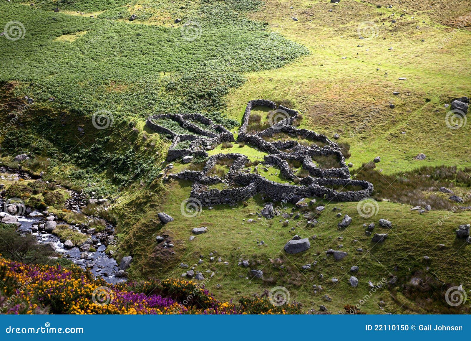Old Sheep fold stock photo. Image of national, wales - 22110150