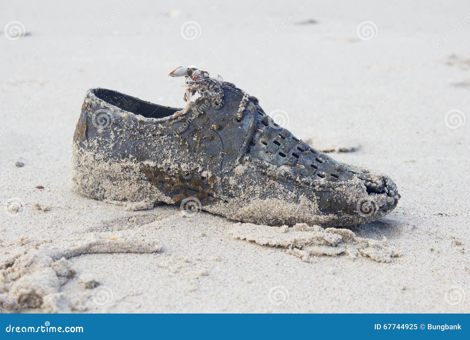 Old Shoe with Shell on Beach Stock Image - Image of relax, concept ...