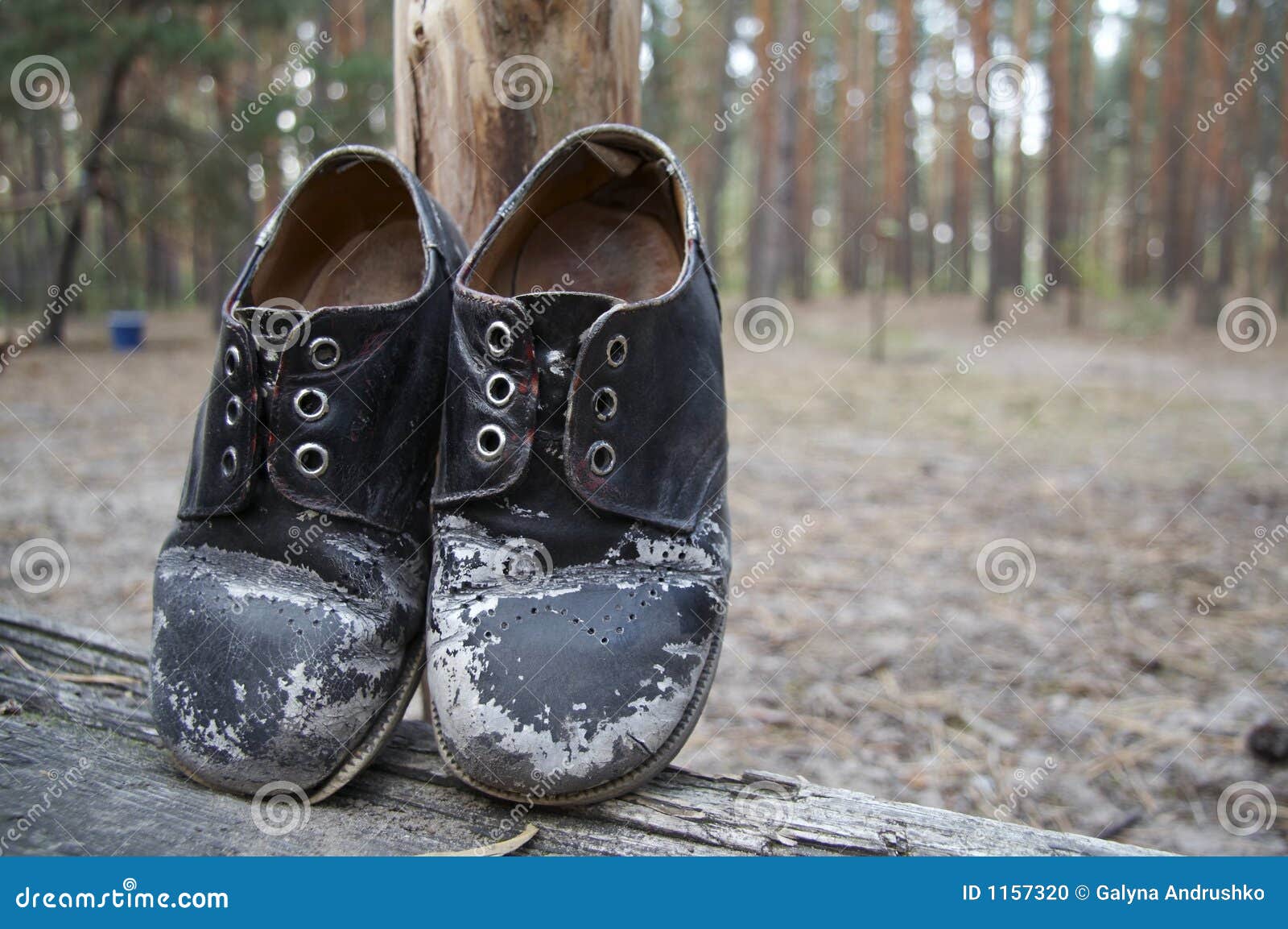 Old shoes stock photo. Image of hiking, shoes, drive, black - 1157320