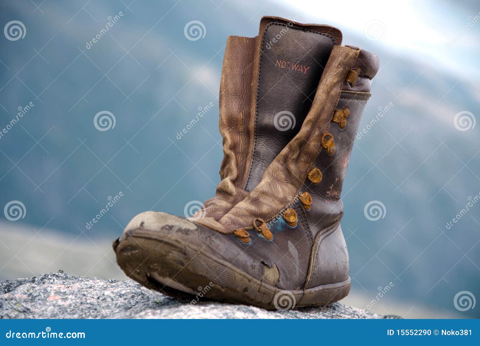 Old Broken Boot Abandoned In A Dry Grass Carpet - Poverty Concept Stock ...