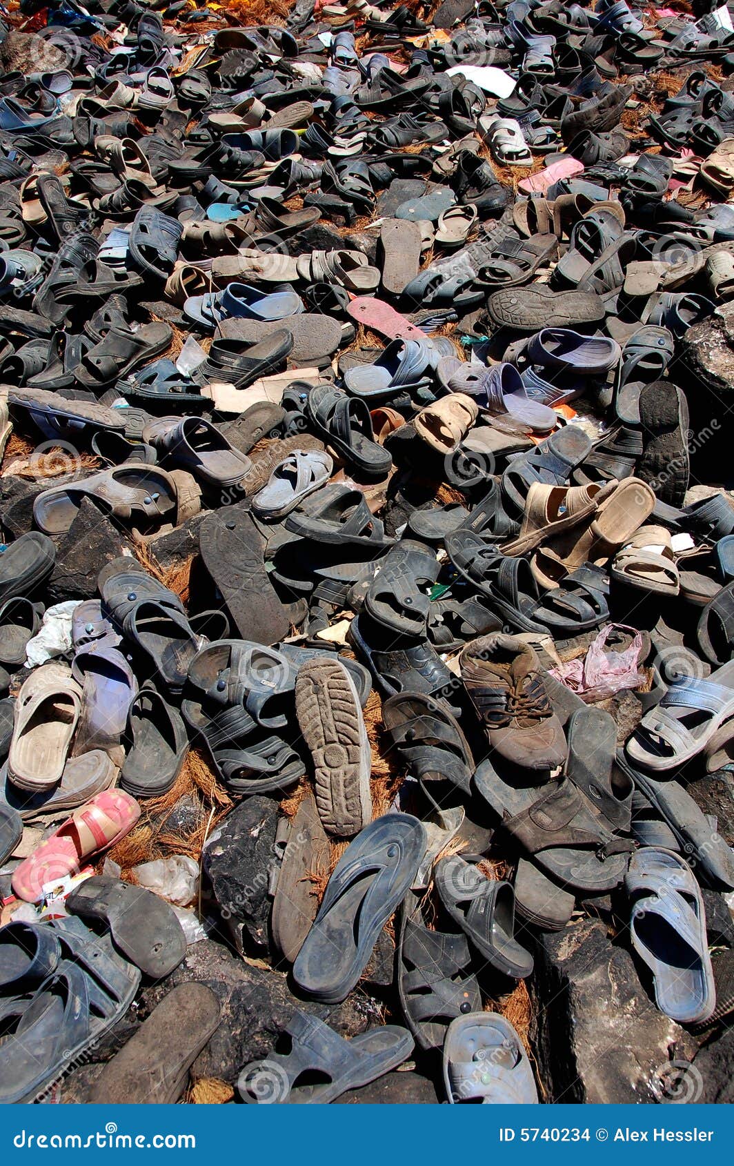 Old shoes in India stock photo. Image of flops, abandoned - 5740234