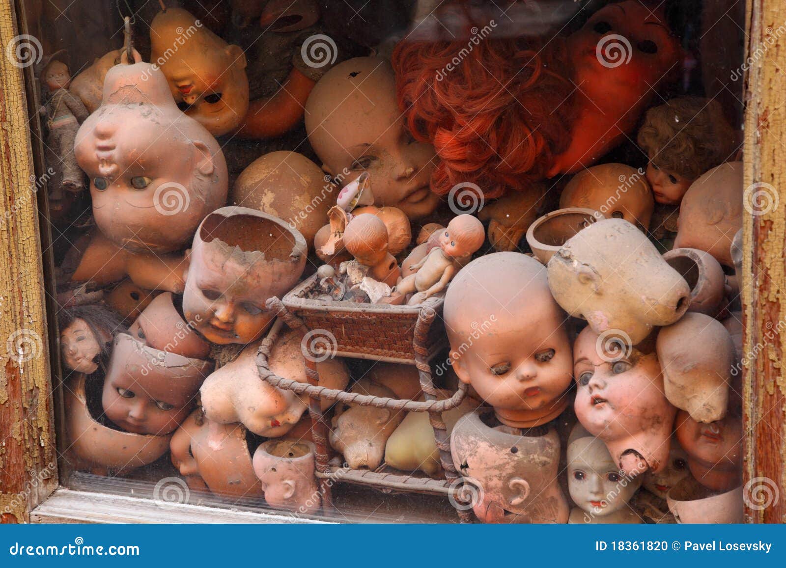 Old Showcase with Many Old Heads Dolls Stock Photo - Image of italy ...