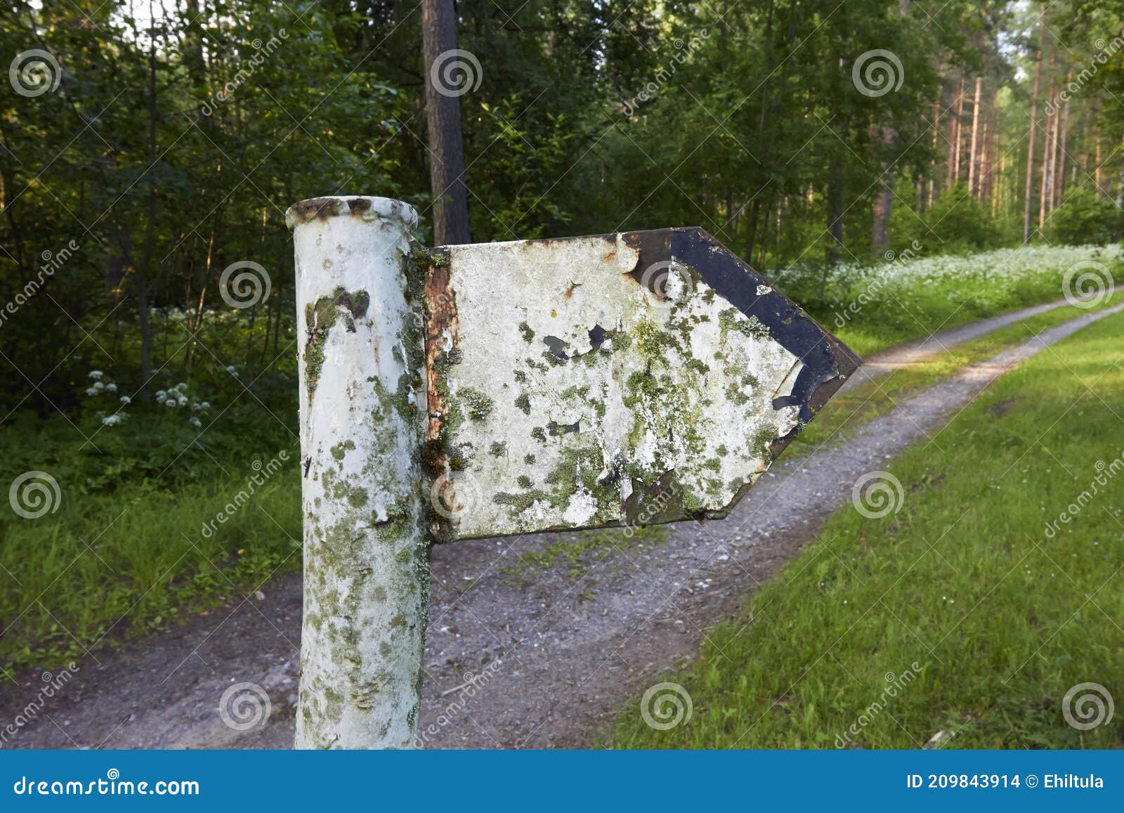 Old signpost stock photo. Image of outside, outdoors - 209843914
