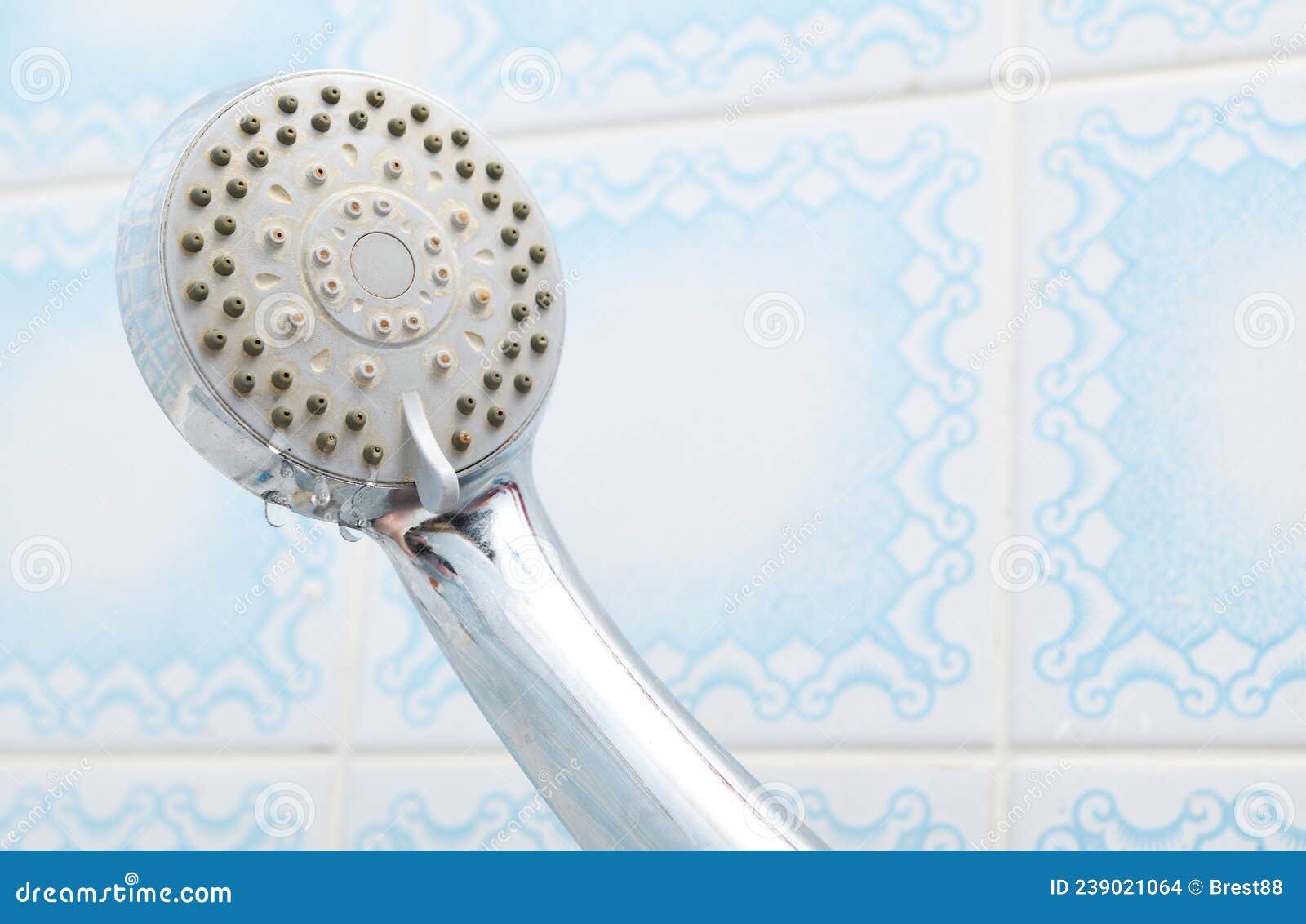 An Old Silver Shower Head on a Background of Ceramic Tiles. Stock Photo ...