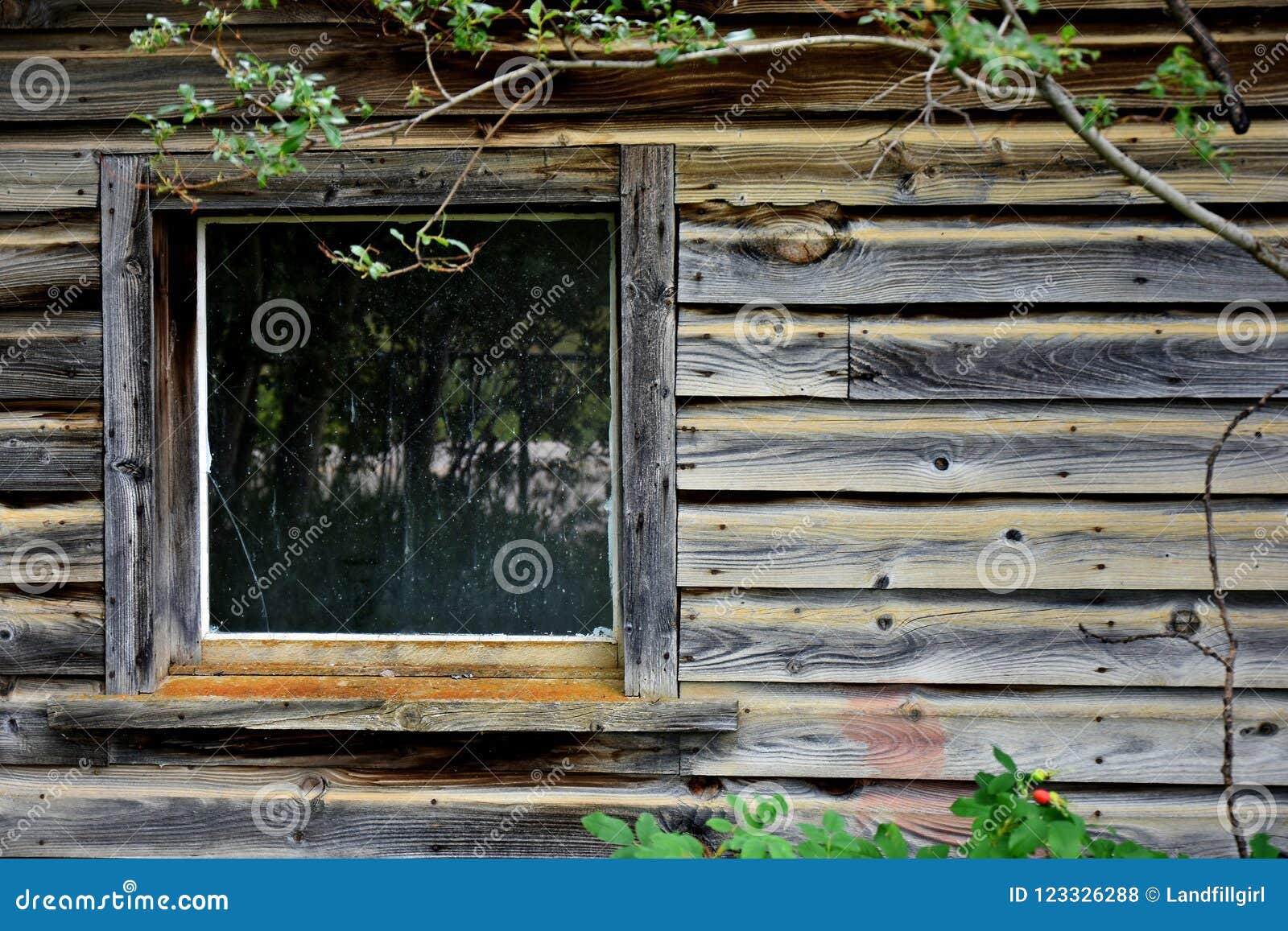 Old Single Pane Wooden Window Stock Photo - Image of broken, dirty ...