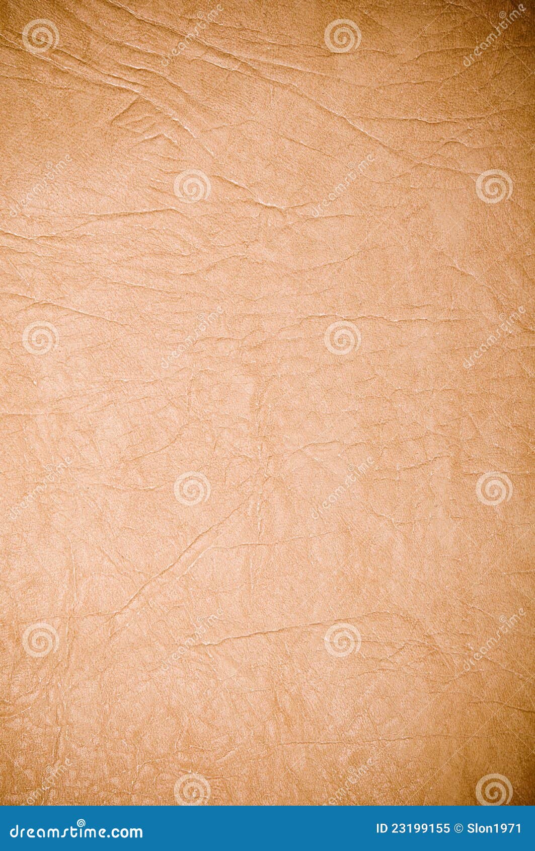 Old skin stock image. Image of detail, ancient, material - 23199155