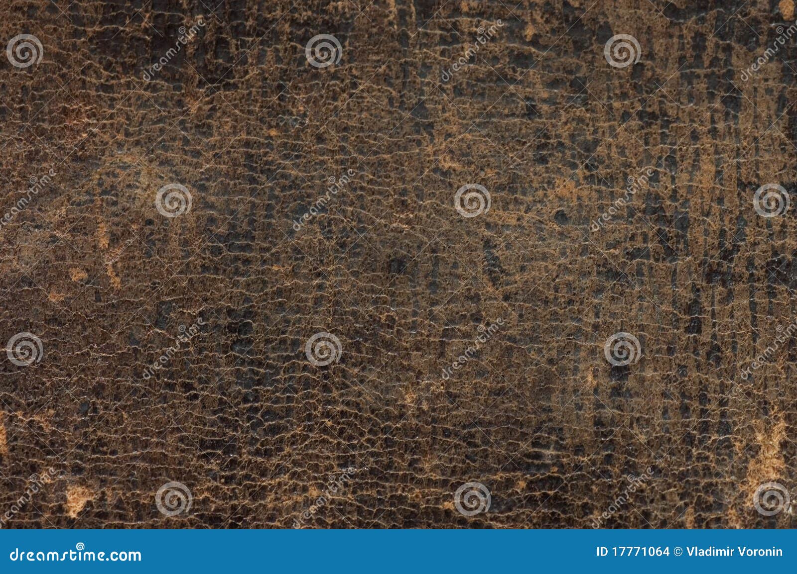 Old skin as a background stock photo. Image of grained - 17771064
