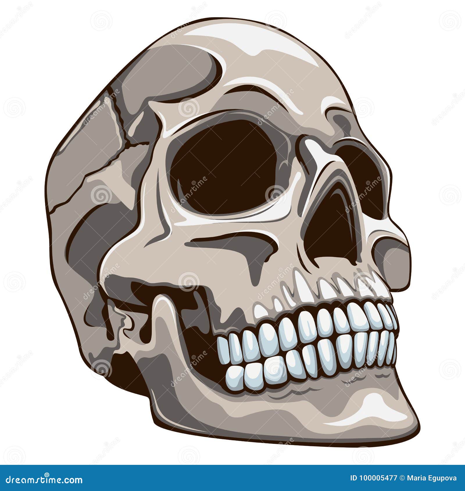 The old Skull stock vector. Illustration of decoration - 100005477