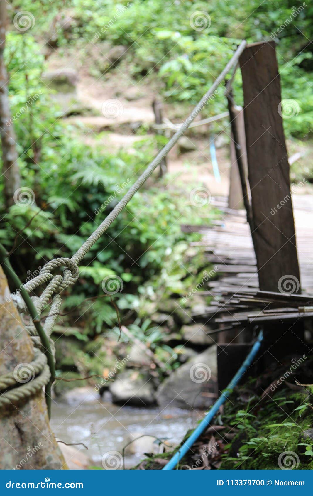 Small Bamboo Bridge in Countryside Stock Photo - Image of trekking ...