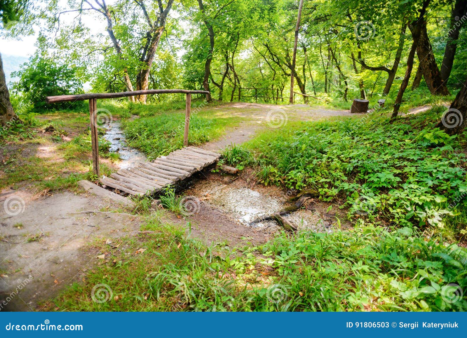 Old Small Bridge through a River in a Forest Stock Image - Image of ...