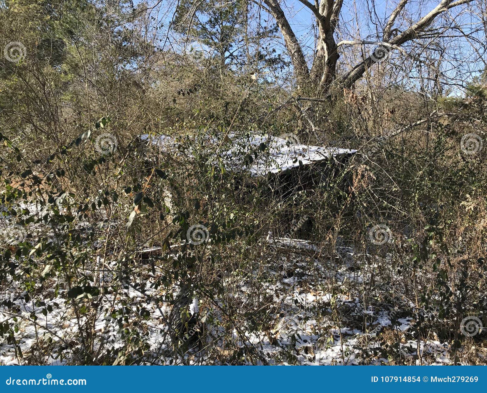 Fruithurst Al Stock Photos - Free & Royalty-Free Stock Photos from ...