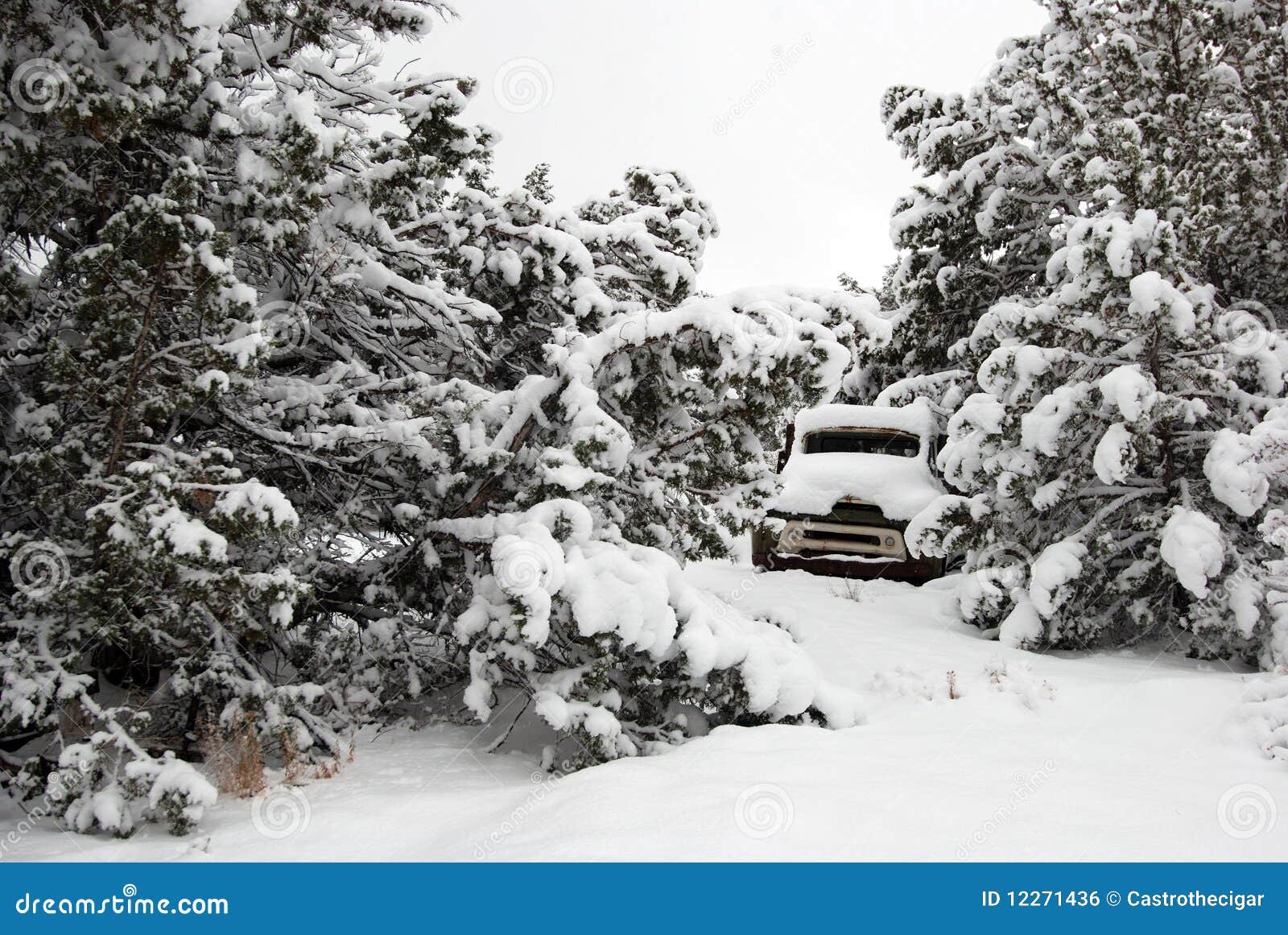 Old Snow-covered Truck stock photo. Image of abandoned - 12271436