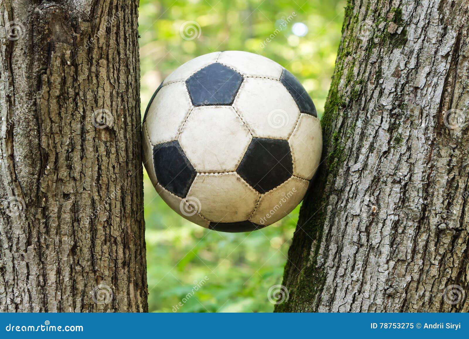 Old Soccer Ball in the Trees. Stock Image - Image of ball, retro: 78753275