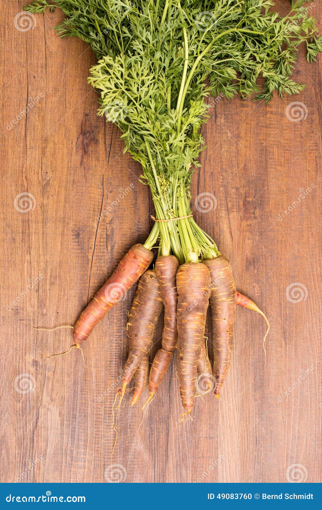 Old sort of carrots stock photo. Image of table, healthy - 49083760
