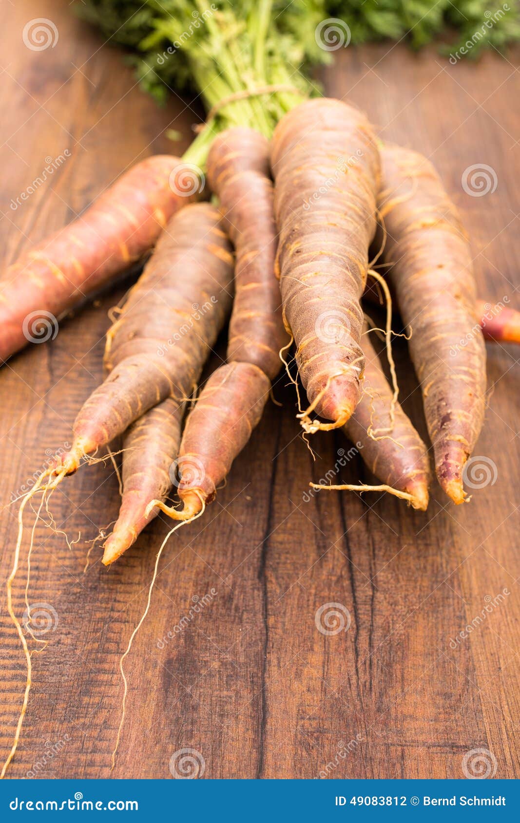 Old Sort of Carrots in Vertical Format Stock Photo - Image of fresh ...