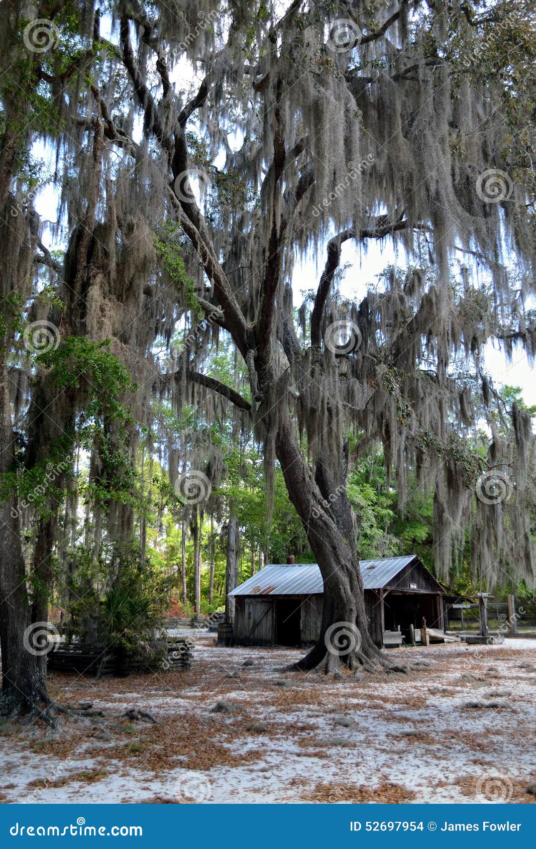 Old Southern Barn stock photo. Image of southern, historical - 52697954