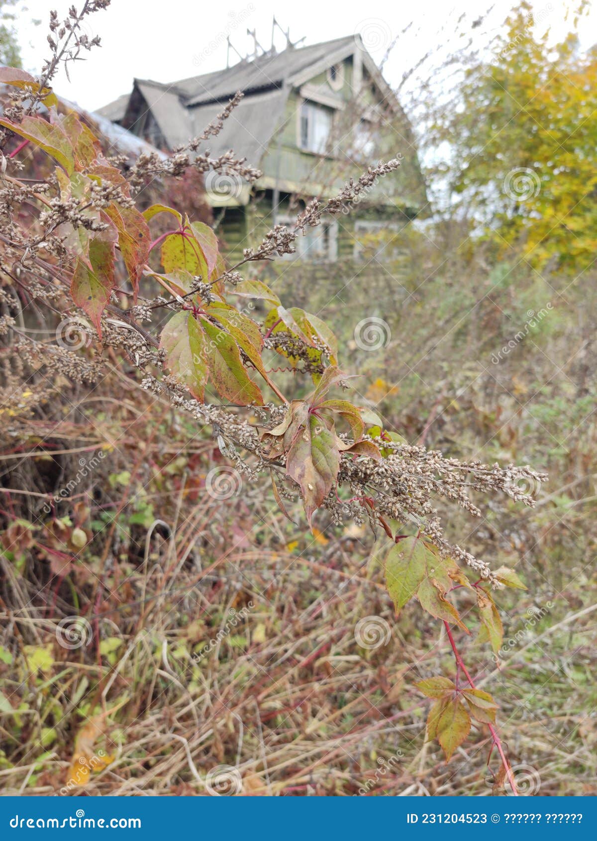 Old Soviet Grain. Remnants of Soviet Civilization. Very Atmospheric ...