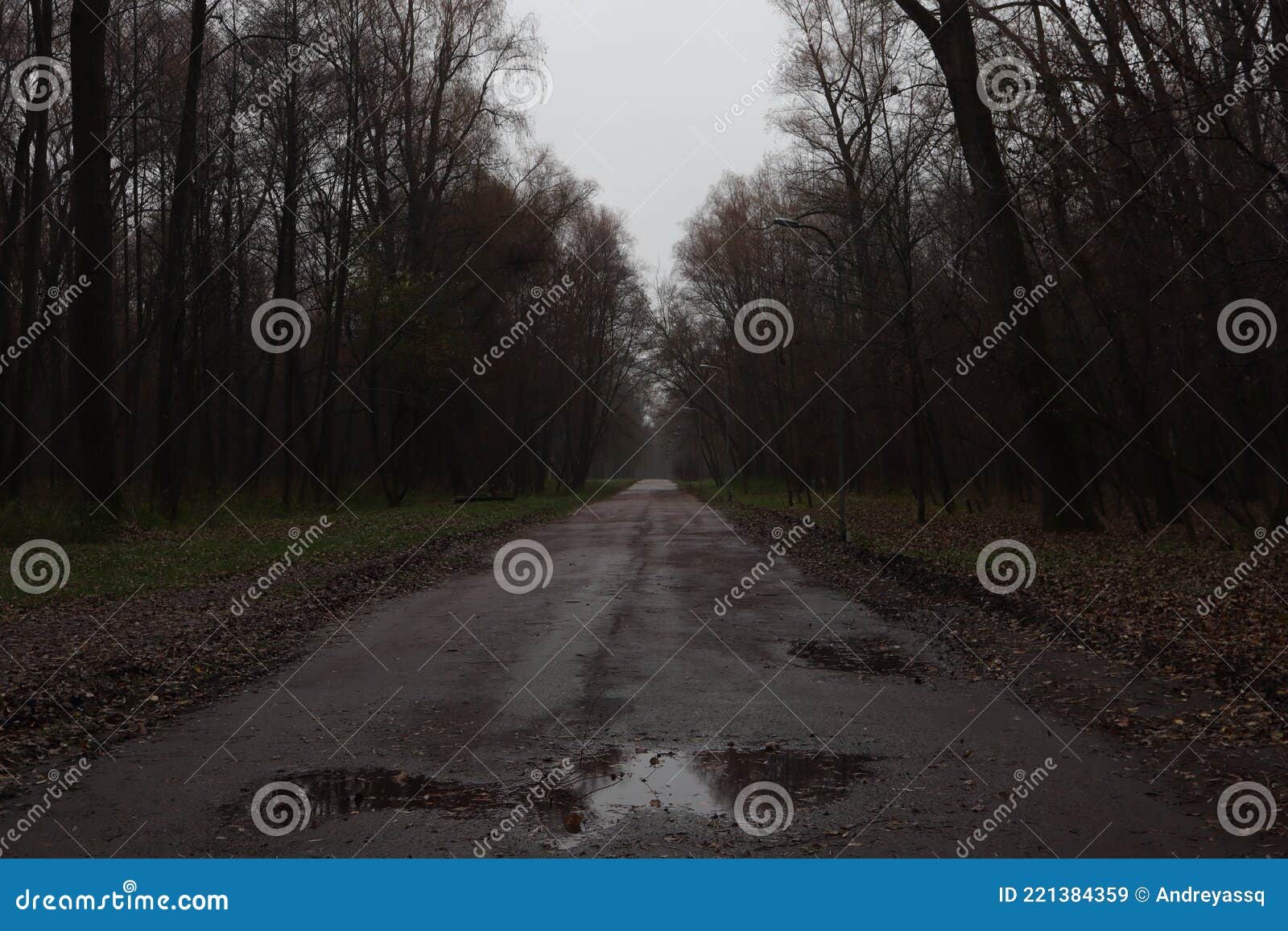 Old Soviet park stock image. Image of rain, trees, park - 221384359