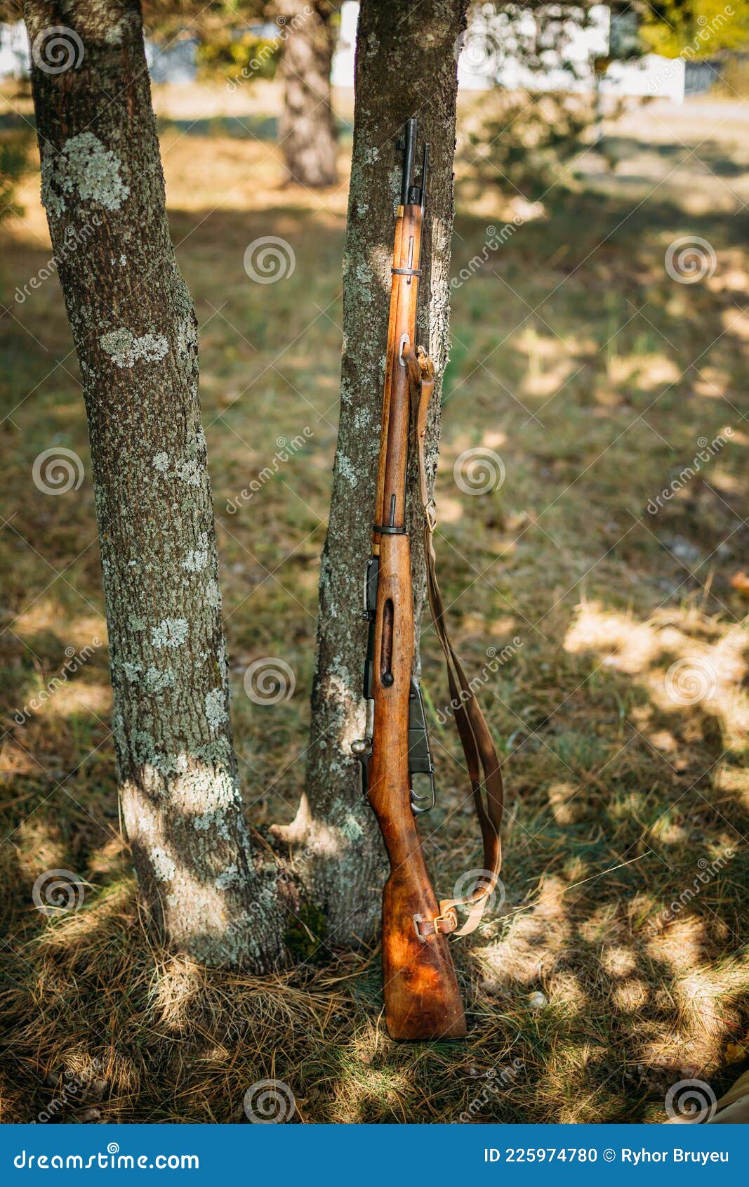 Old Soviet Rifle of World War II Leaning Against Trunk of Tree Stock ...