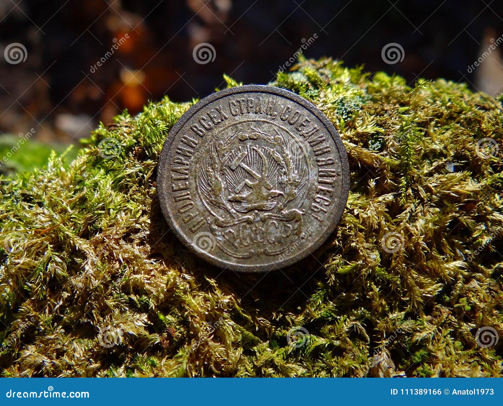 Old Soviet Silver Coin on Green Moss Stock Photo - Image of dirty ...