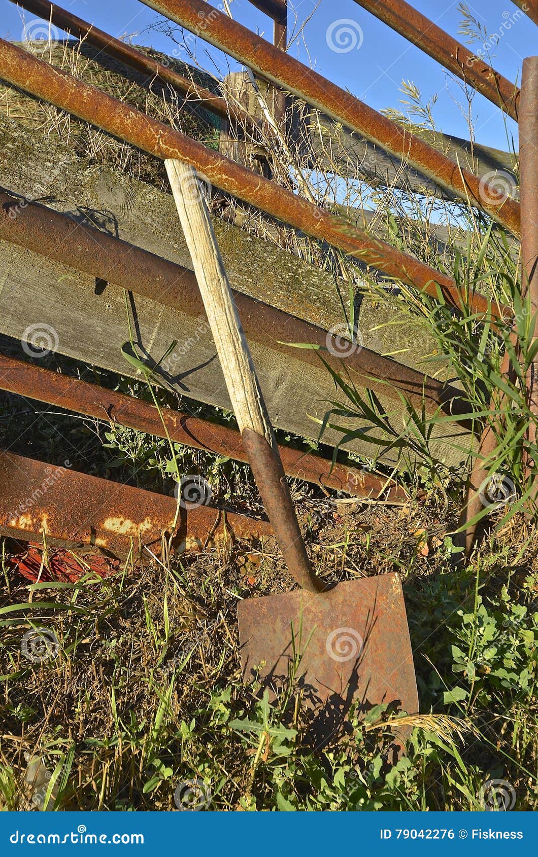 Cattle Loading Chute Royalty-Free Stock Image | CartoonDealer.com #69014326
