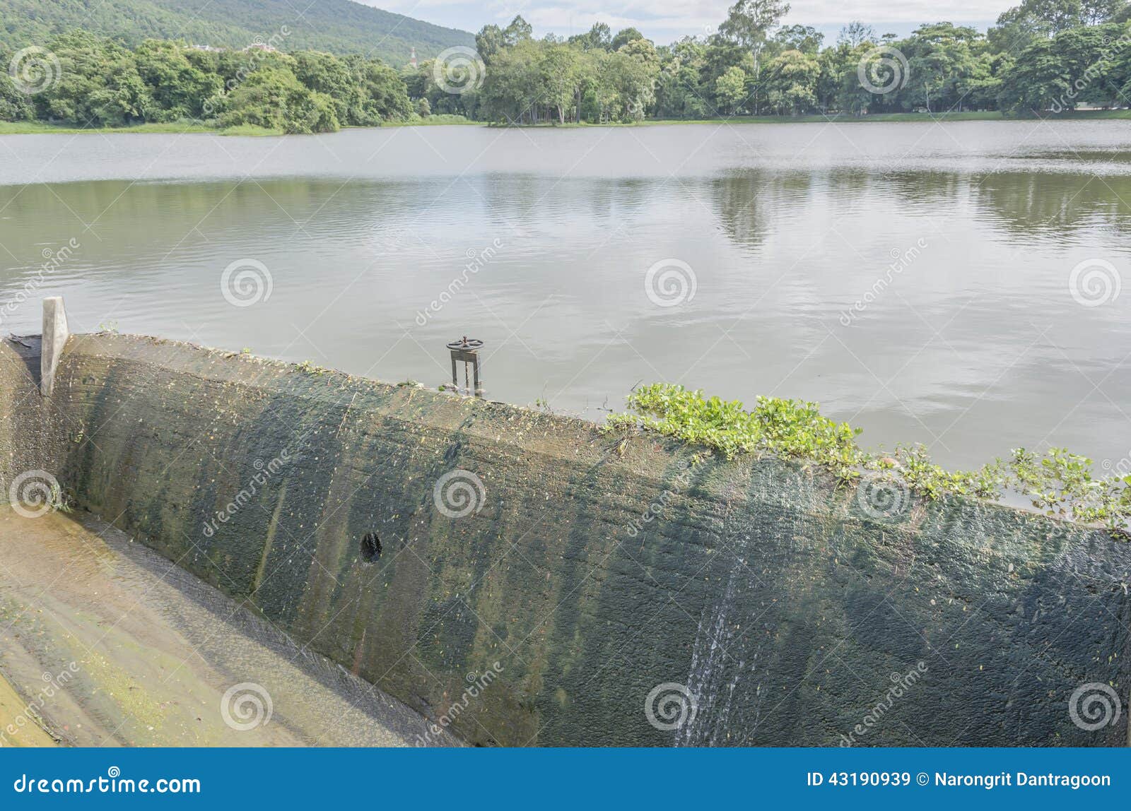 Old Spillway on Concrete Small Dam Stock Image - Image of power, sewage ...
