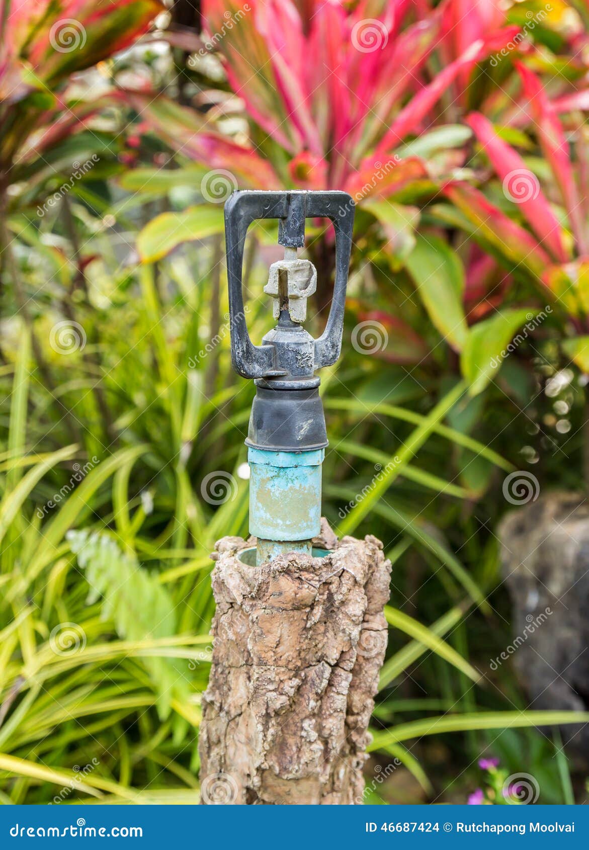 Springer Water Royalty-Free Stock Photo | CartoonDealer.com #86049135